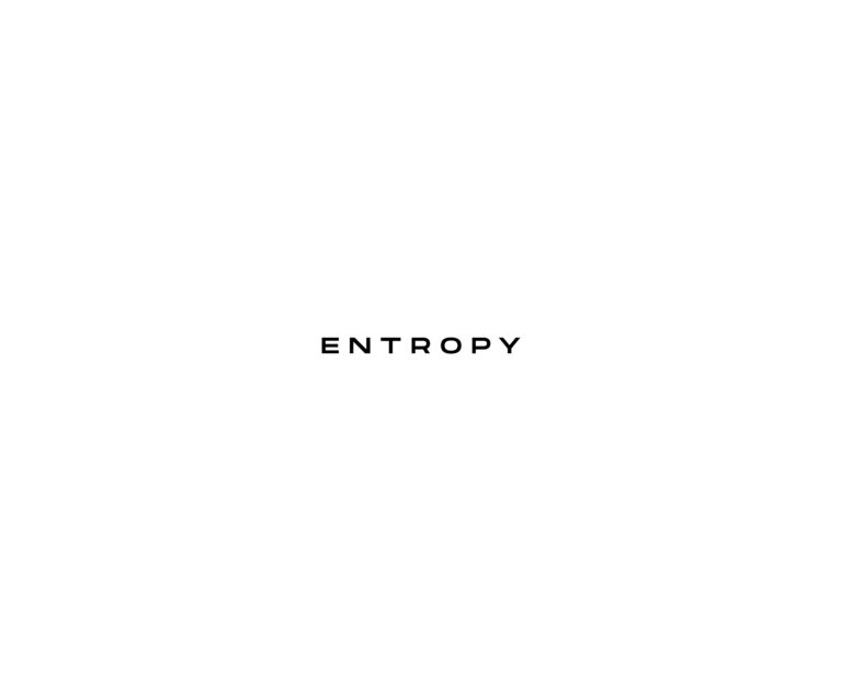 ENTROPY Organza Fit Foundation: Photography Direction - HAUS ARDORYOUTH